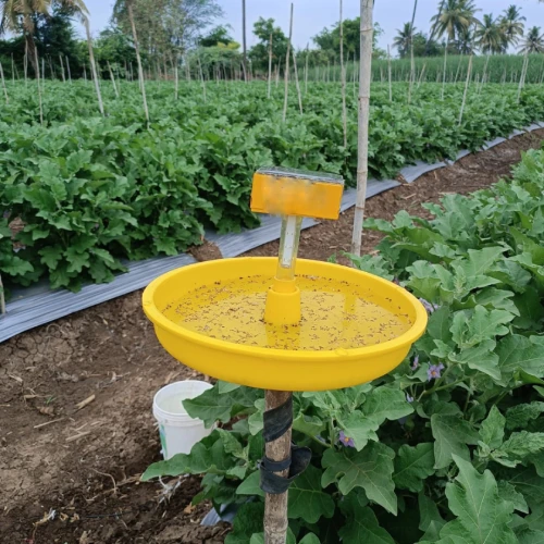 मीनी सोलर इनसेक्ट ट्रॅप - krushikart.com